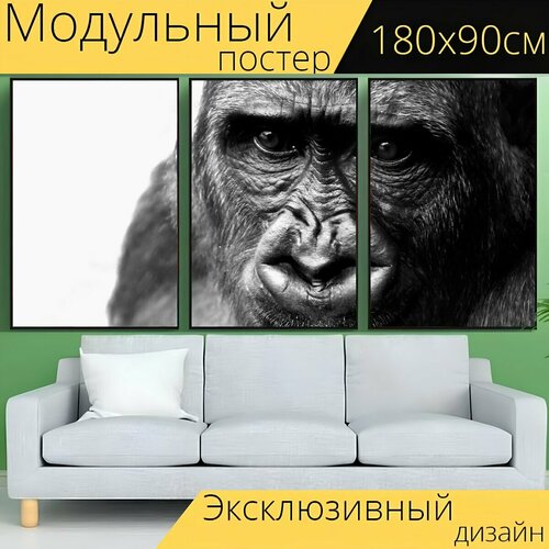 Модульный постер "Горилла, обезьяна, животное" 180 x 90 см. для интерьера