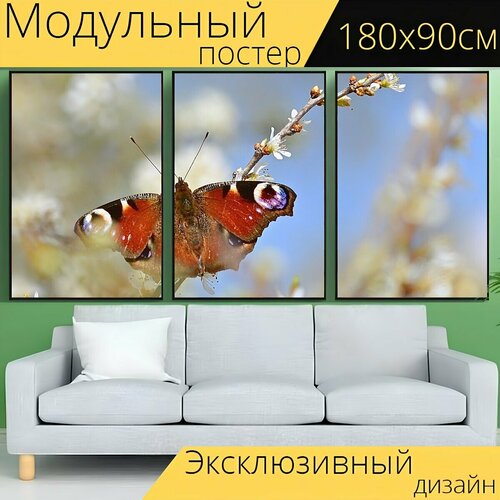 Модульный постер "Природа, павлинья бабочка, бабочки" 180 x 90 см. для интерьера