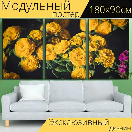 Модульный постер "Желтые розы, цветок, расцветает" 180 x 90 см. для интерьера