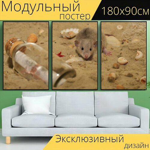 Модульный постер "Крыса, грызун, животное" 180 x 90 см. для интерьера