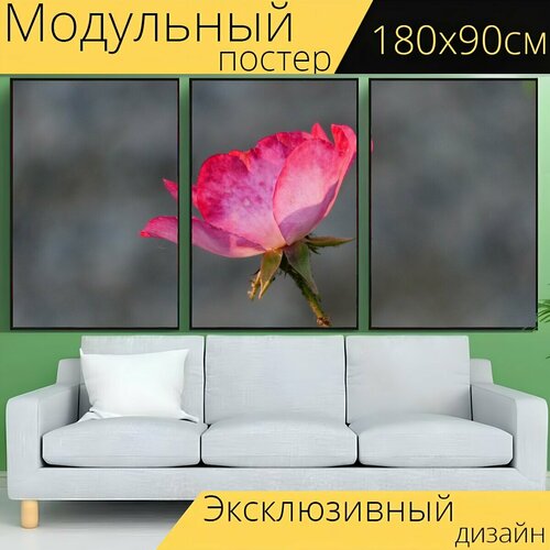 Модульный постер "Роза, цветок, розовый" 180 x 90 см. для интерьера