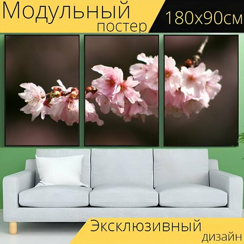 Модульный постер "Цветок, завод, вишневого дерева" 180 x 90 см. для интерьера