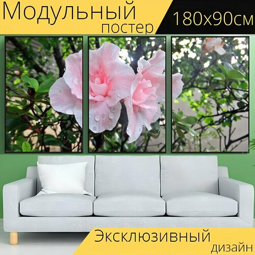 Модульный постер "Роза, планта, флора" 180 x 90 см. для интерьера