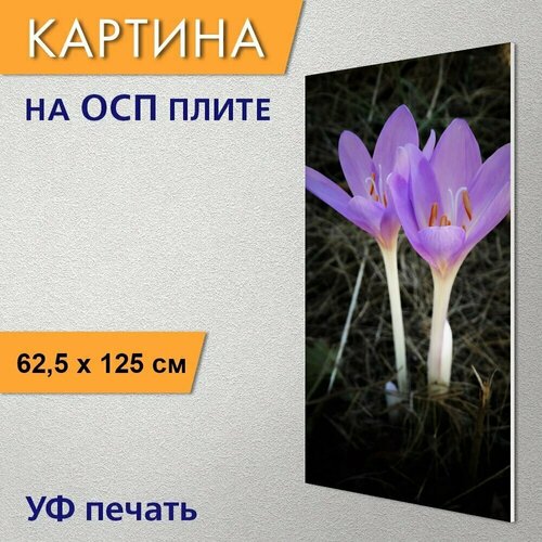 Вертикальная картина на ОСП "Крокус, осень вневременная, цветок" 62x125 см. для интерьериа