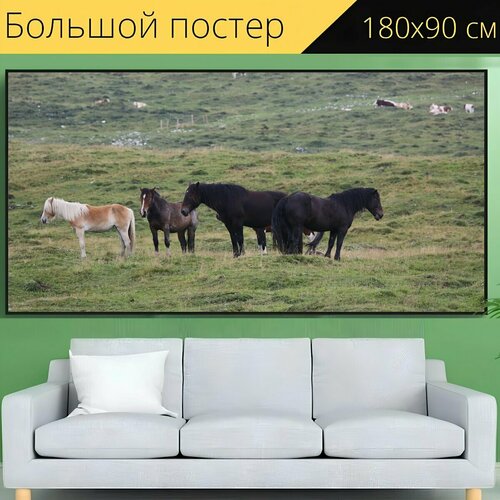 Большой постер "Лошадь, животное, природа" 180 x 90 см. для интерьера