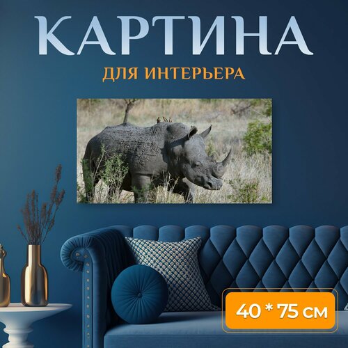 Картина на холсте "Носорог, серое животное, толстокожий" на подрамнике 75х40 см. для интерьера
