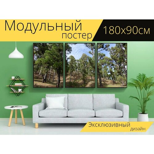 Модульный постер "Сосна, сосновая роща, зеленая природа" 180 x 90 см. для интерьера