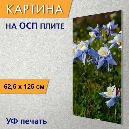 Вертикальная картина на ОСП "Полевой цветок, природа, блум" 62x125 см. для интерьериа