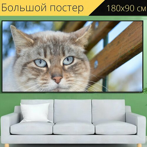 Большой постер "Кошка, кот, котенок" 180 x 90 см. для интерьера