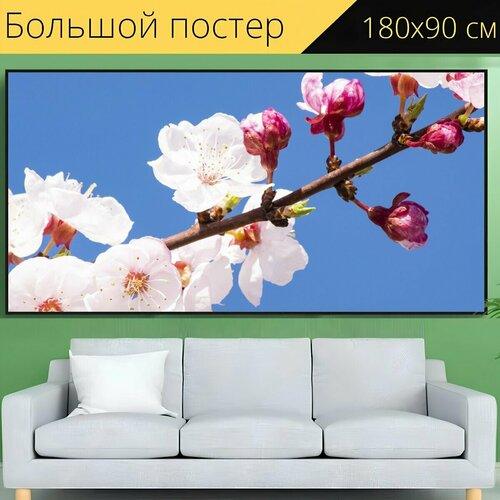 Большой постер "Вишня, цветы, весна" 180 x 90 см. для интерьера