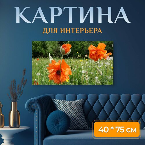 Картина на холсте "Цветы мака, апельсин, природа" на подрамнике 75х40 см. для интерьера