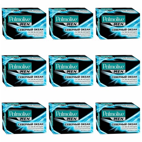 Palmolive Мыло туалетное мужское, Северный океан, 90 г, 9 шт.