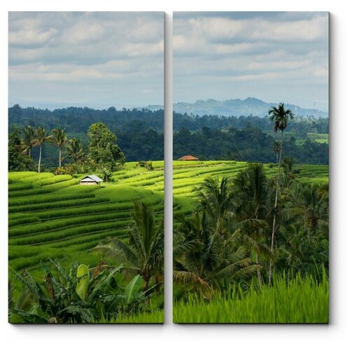 Модульная картина Бали, рисовые поля 40x40