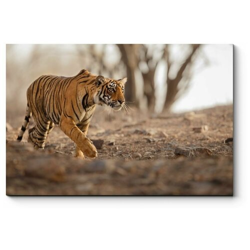 Модульная картина Тигр на охоте 40x27