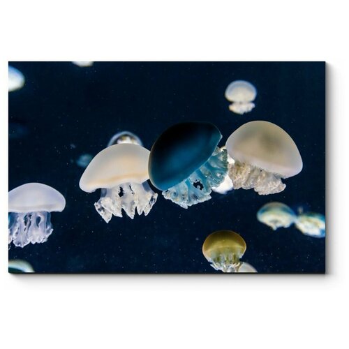 Модульная картина Красивые медузы80x53