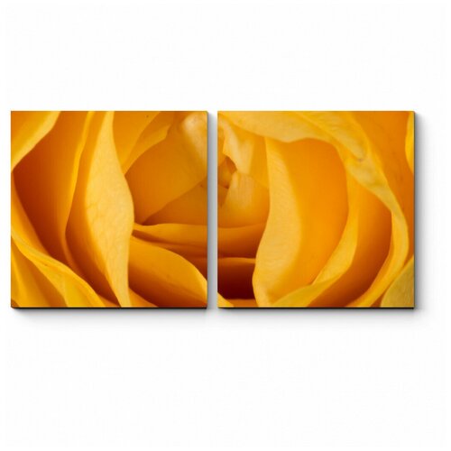 Модульная картина Солнечная роза 50x25