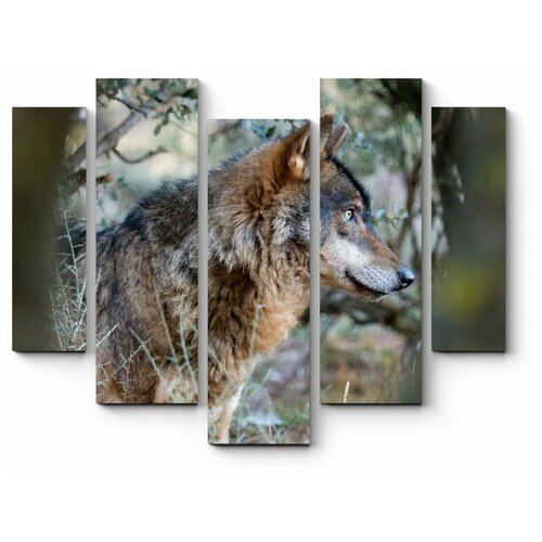 Модульная картина Волк спрятался между деревьями 141x114