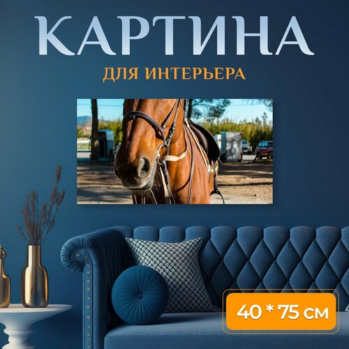 Картина на холсте "Лошадь, животное, всадник" на подрамнике 75х40 см. для интерьера