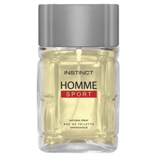 Andre Renoir туалетная вода Instinct Homme Sport, 100 мл