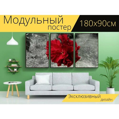 Модульный постер "Красная роза, цветок, черное и белое" 180 x 90 см. для интерьера