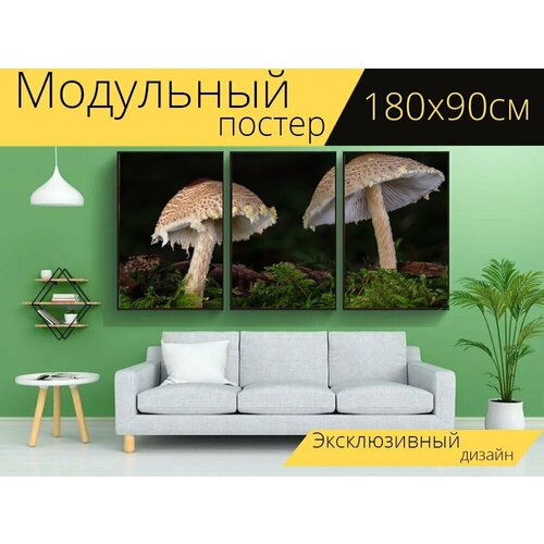 Модульный постер "Каштан, грибы, падение" 180 x 90 см. для интерьера