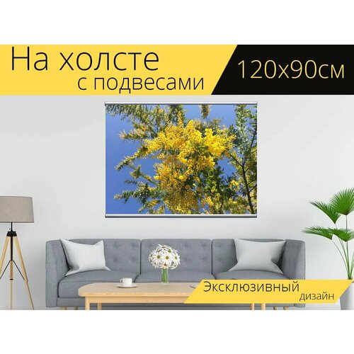 Картина на холсте "Акация, мимоза акация, весенний цветок" с подвесами 120х90 см. для интерьера