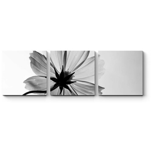 Модульная картина Монохромный цветок 130x43