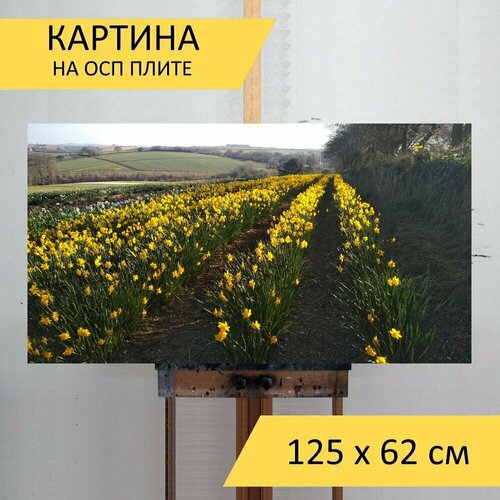 Картина на ОСП 125х62 см. "Цветок, нарциссы, весна" горизонтальная, для интерьера, с креплениями