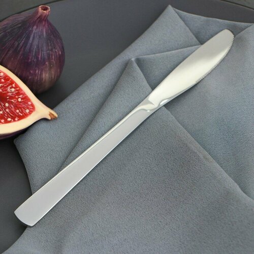 Нож столовый Доляна из нержавеющей стали «Оптима», длина 20,7 см, толщина 2 мм