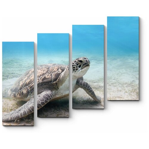 Модульная картина Чарующая подводная черепаха 170x147