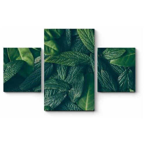 Модульная картина Зеленые сочные листья 150x98