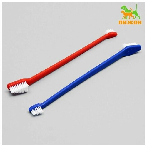 Зубная щётка для животных двухсторонняя, 2 шт, красная и голубая, 1 набор