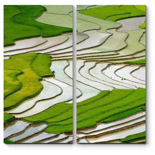 Модульная картина Рисовое поле в Му Чан Чай 40x40