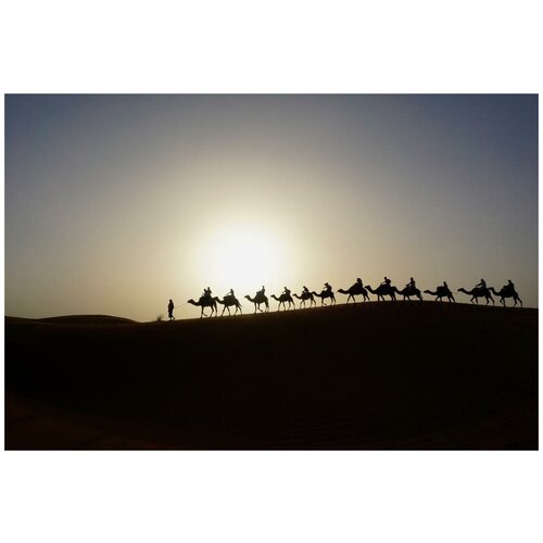 Постер / Плакат / Картина Караван верблюдов 90х120 см в подарочном тубусе