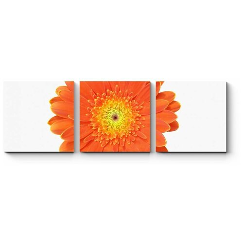 Модульная картина Огненно-оранжевая гербера 100x33