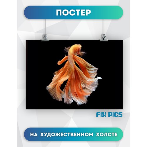 Постер на холсте Рыба (4) 30х40 см