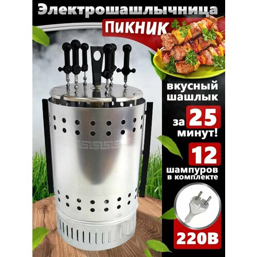 Электрошашлычница Пикник ЭШВ-1,25/220 12 шампуров