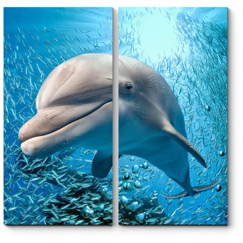Модульная картина Улыбка дельфина 40x40