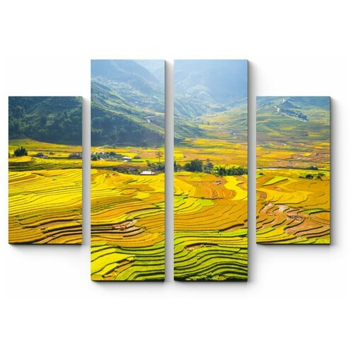Модульная картина Рисовые поля у подножия гор Вьетнама 100x75