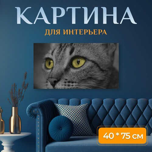Картина на холсте "Кошачьи глаза, кошка, анималистический портрет" на подрамнике 75х40 см. для интерьера