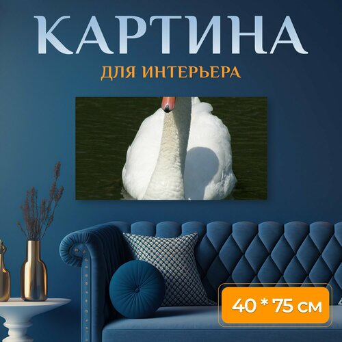 Картина на холсте "Лебедь, птица, вода" на подрамнике 75х40 см. для интерьера