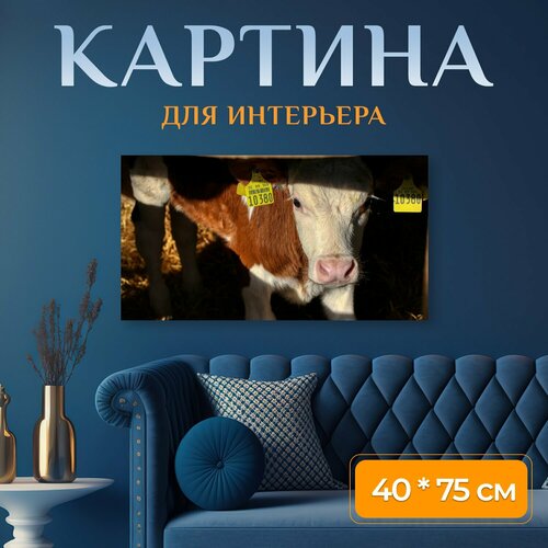 Картина на холсте "Телец, корова, фермерский двор" на подрамнике 75х40 см. для интерьера