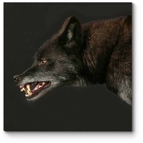 Модульная картина Не злите волка 140x140