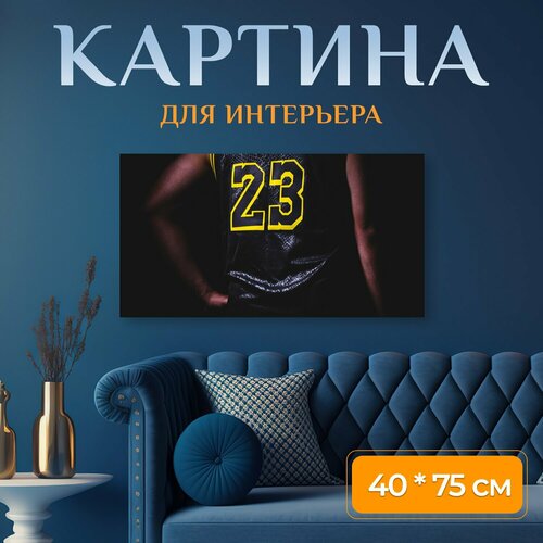 Картина на холсте "Джерси, баскетбол, джеймс" на подрамнике 75х40 см. для интерьера