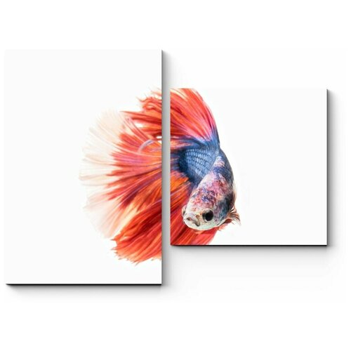 Модульная картина Красно-синяя рыбка 150x113