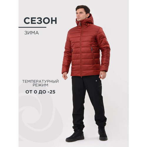 Куртка CosmoTex, размер 60-62 182-188, бордовый
