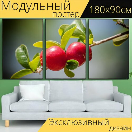 Модульный постер "Вишня, дерево, фрукты" 180 x 90 см. для интерьера
