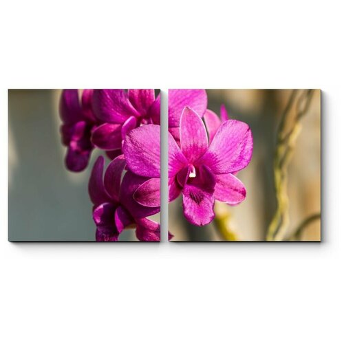 Модульная картина Королева цветов - прекрасная орхидея 110x55