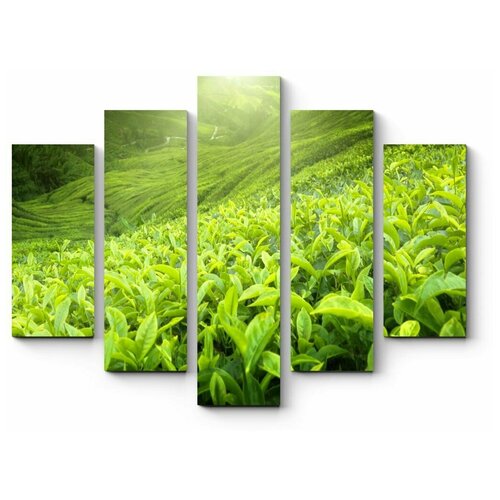 Модульная картина Бескрайняя зелень полей 115x92
