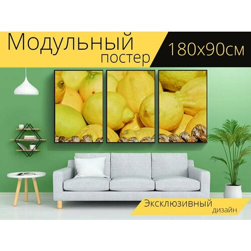 Модульный постер "Лимоны, фрукты, кислый" 180 x 90 см. для интерьера
